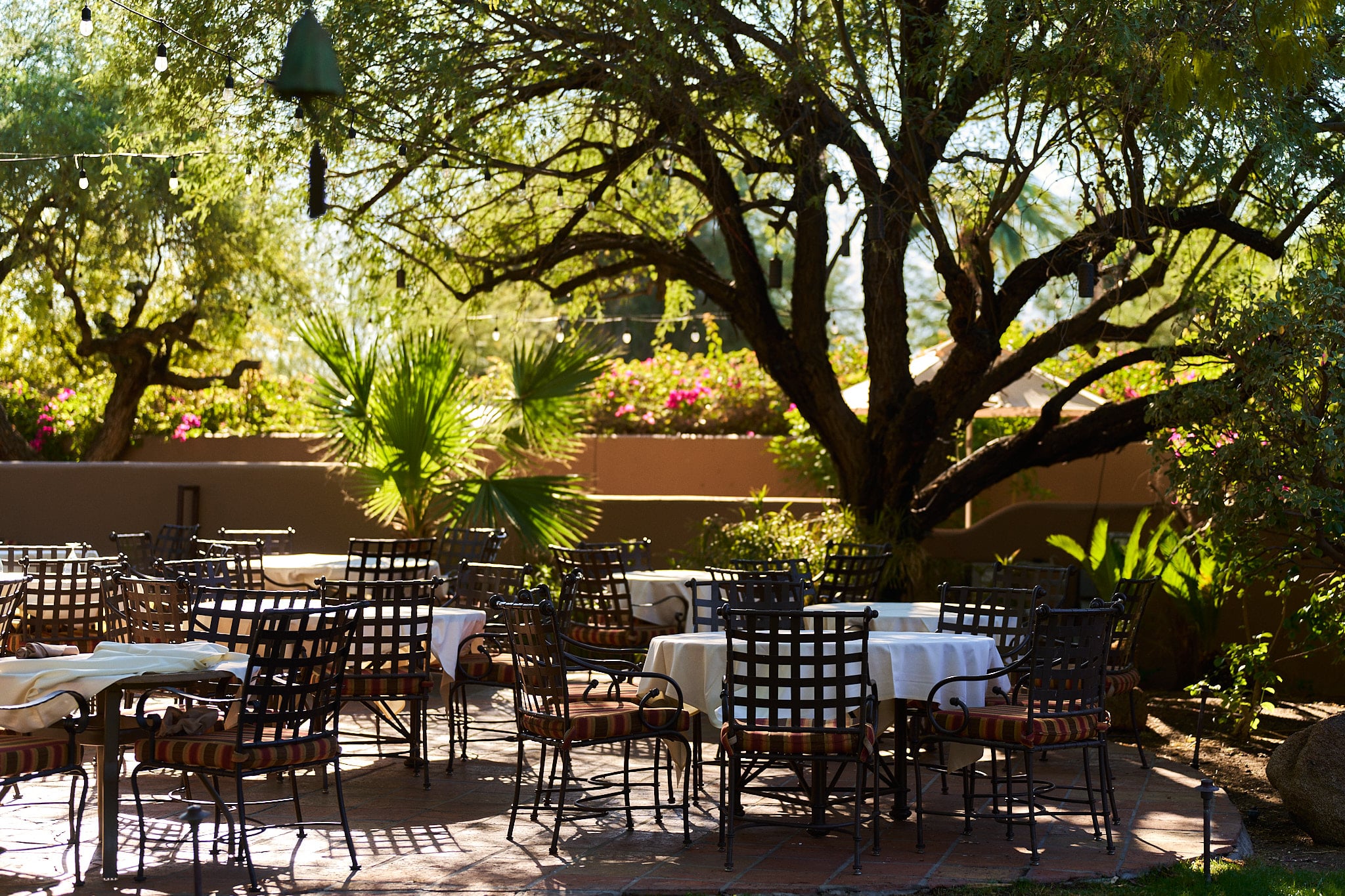 Gallery – Arizona Hideaway Collection
